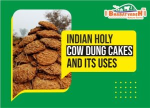 Indian Holy Cow Dung Cakes and Its Uses - Bharatvarsh Nature
