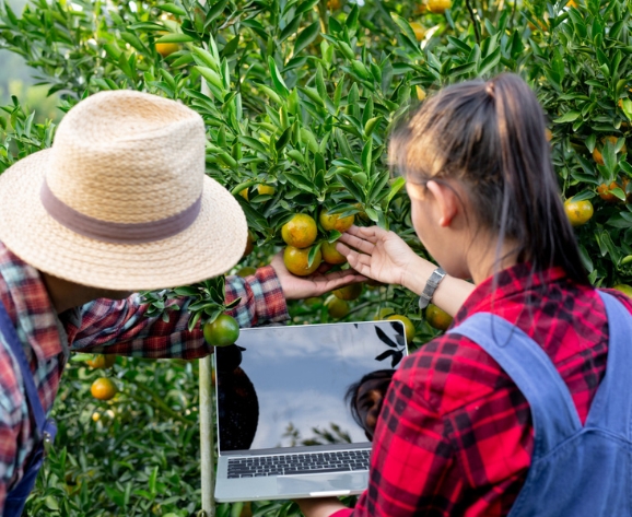 Explore Agro-Tourism Adventure at Bharatvarsh Nature Farms
