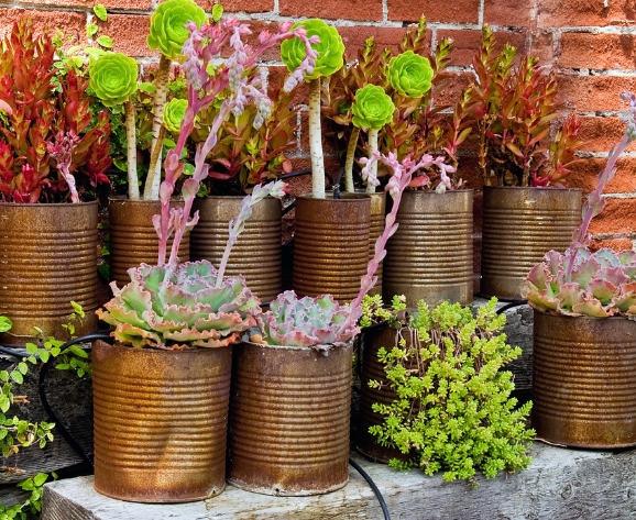 Creative Plant Nursery Ideas for Transforming Your Space