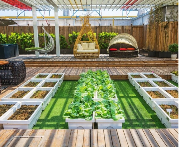 Creative Plant Nursery Ideas for Transforming Your Space