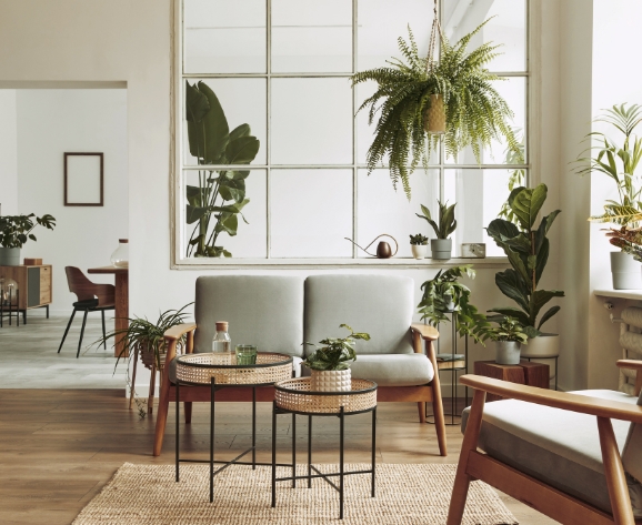 Creative Plant Nursery Ideas for Transforming Your Space