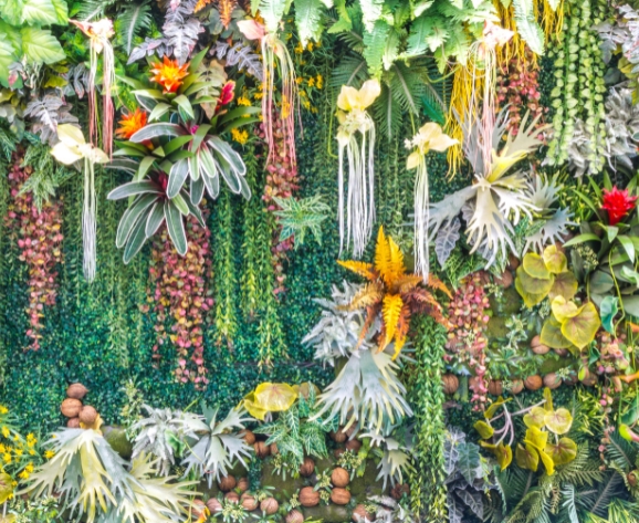 Creative Plant Nursery Ideas for Transforming Your Space