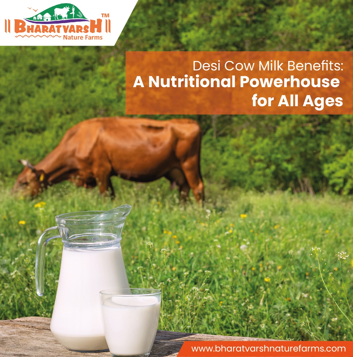 Desi Cow Milk Benefits: Nutrition for All Ages - Bharatvarsh