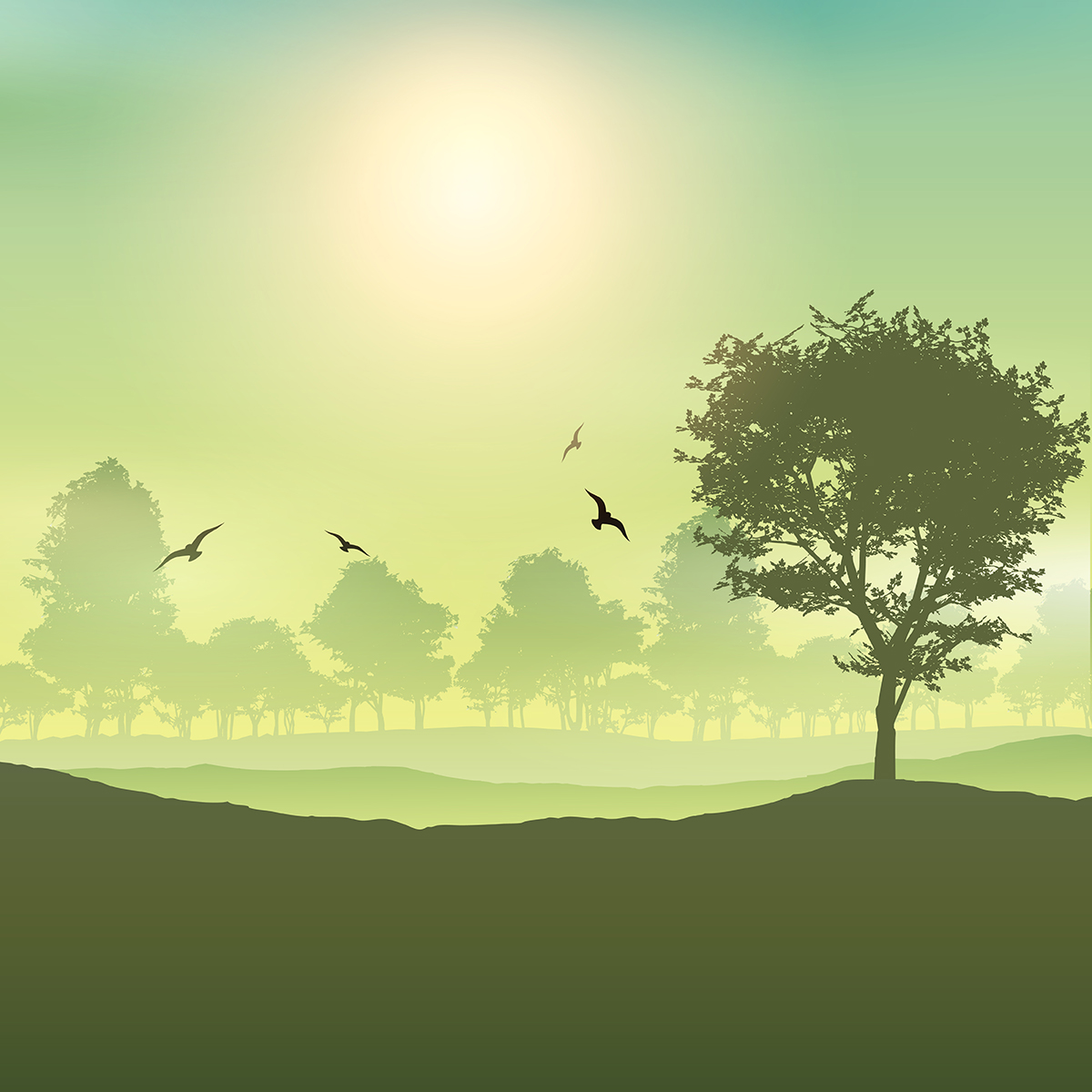 Benefits of Spending Time in Nature | Bharatvarsh Farms